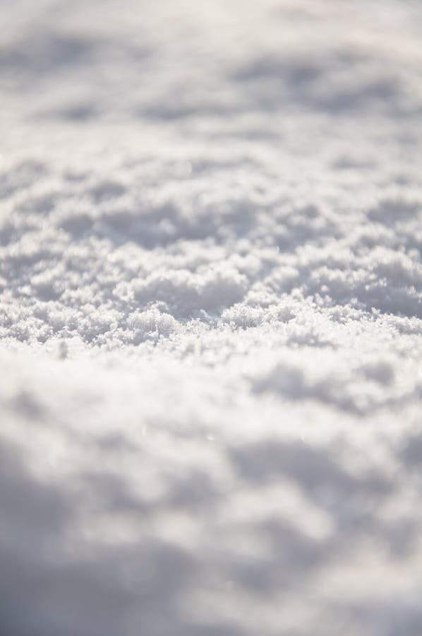 Fresh Snow stock image. Image of snowflakes, trees, woods - 36226161