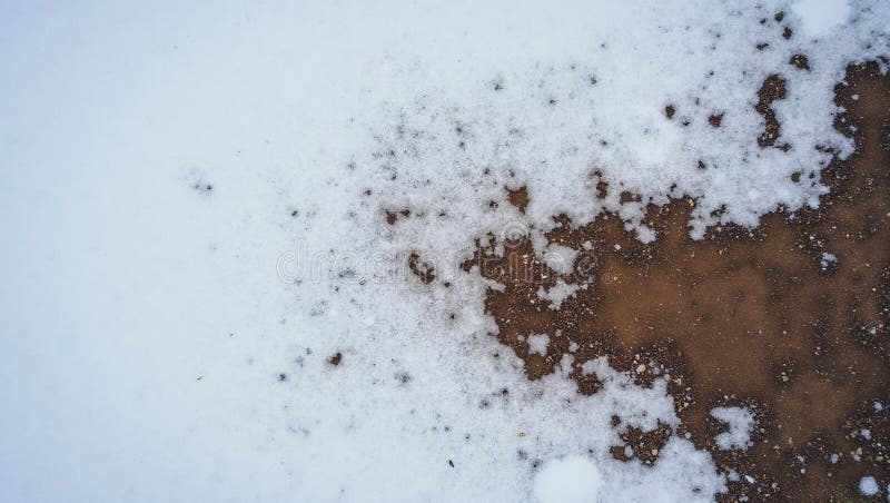 Fresh Snow on Ground with Patches of Brown Earth Creating Soft Contrast ...