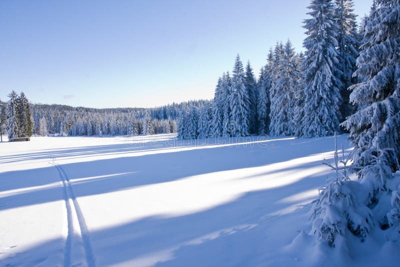 Fresh Snow in the Mountains Stock Photo - Image of alps, christmas: 7949452
