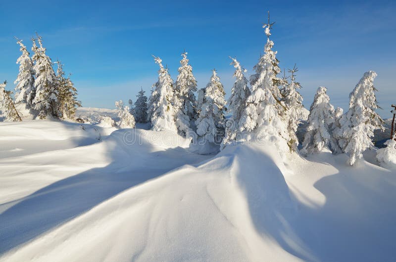 Fresh Snow in the Mountains Stock Image - Image of hoar, christmas ...