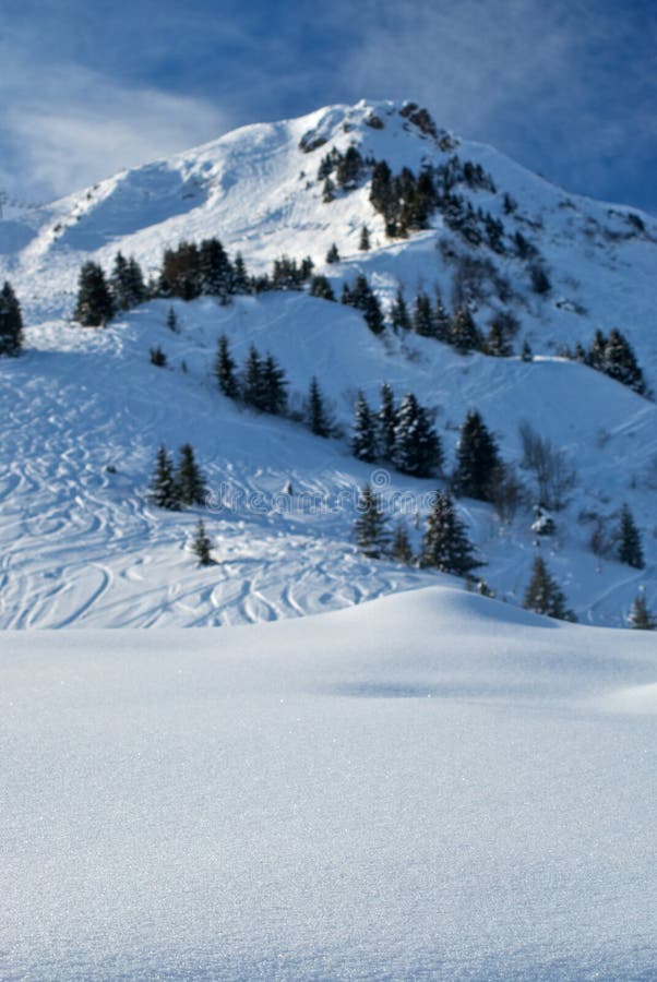 Fresh Snow on Ski Slope stock photo. Image of cool, offpiste - 23821410