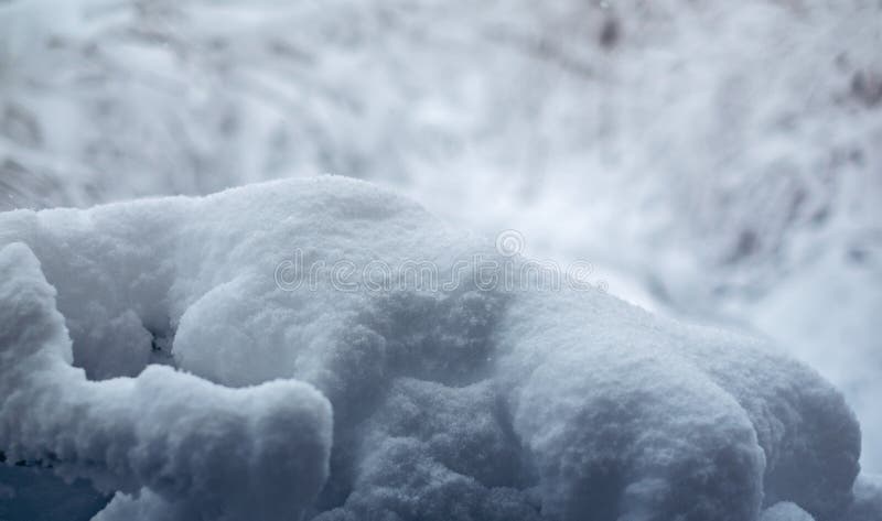 Fresh snow texture stock photo. Image of detail, forest - 92120758