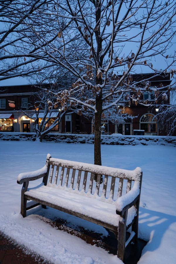 Fresh Snowfall on the University of Virginia Grounds - Vertical Shot ...
