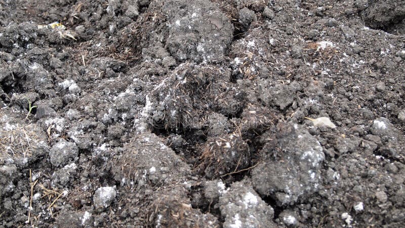 Fresh Soil Background Close Up Stock Photo - Image of nature, mineral ...