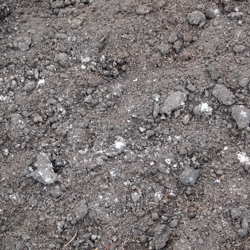Fresh Soil Background Closeup Stock Image - Image of mineral, dirty ...