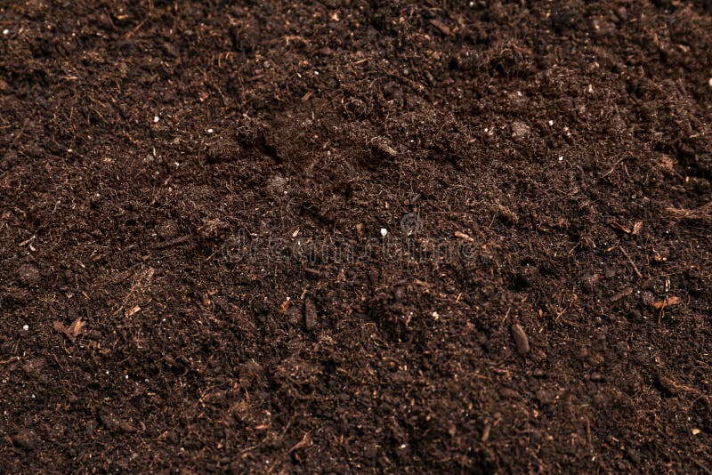 Fresh Soil for Gardening As Background Stock Image - Image of dirt ...