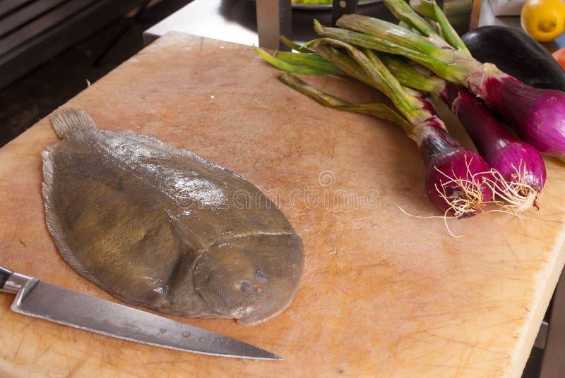 Fresh sole stock image. Image of gourmet, knife, restaurant - 27668903
