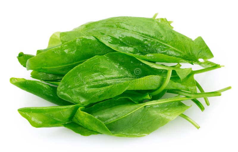 Fresh Sorrel on White Background Stock Image - Image of food, addition ...