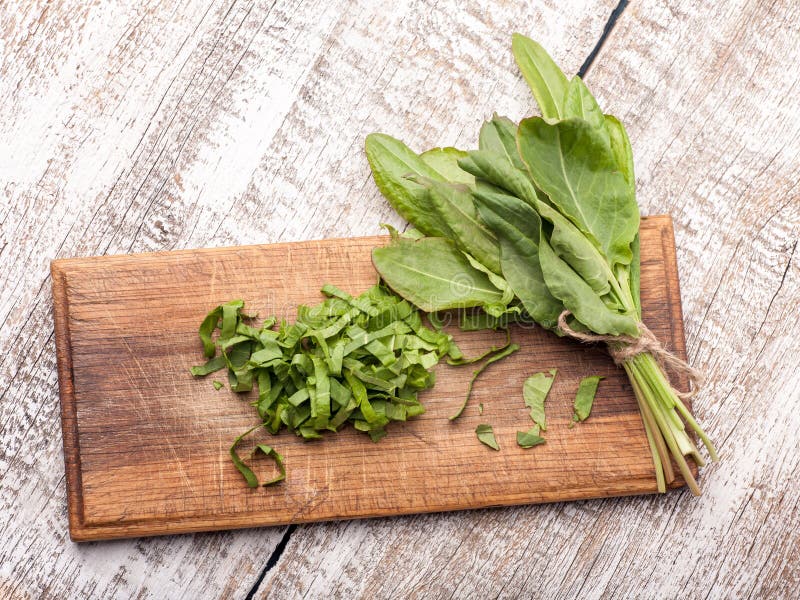 Fresh sorrel vegetable stock image. Image of garden, rustic - 90571765