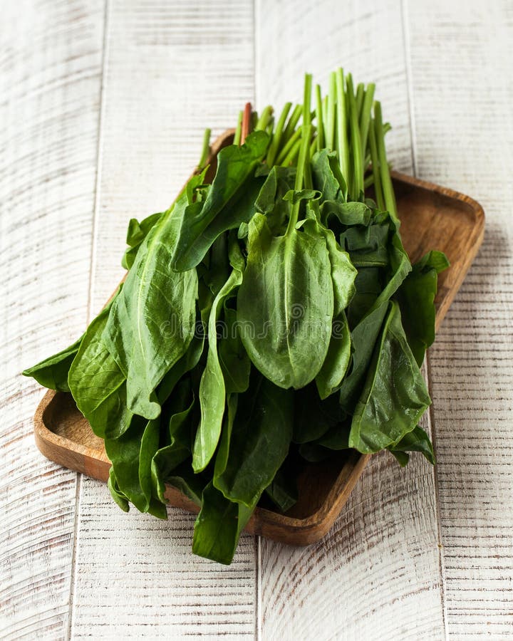Fresh Sorrel on a Wooden Background. the Concept of Greens Stock Image ...
