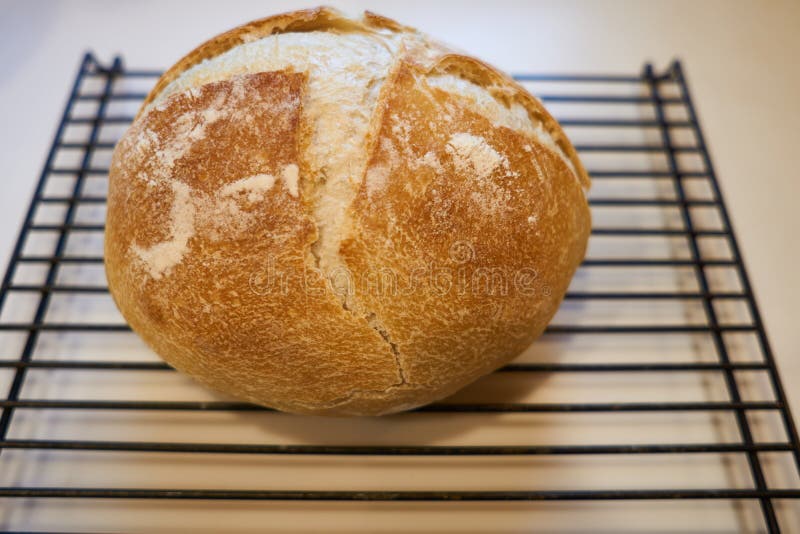 Fresh Sourdough Bread stock photo. Image of grain, crust - 193646716