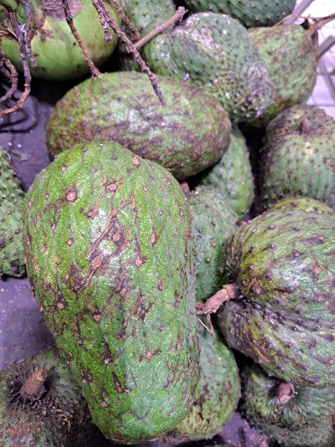 Fresh Soursop Fruit with a Sweet Taste Stock Image - Image of leaf ...