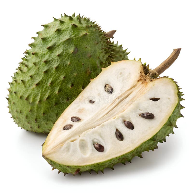 Fresh Soursop stock illustration. Illustration of healthy - 357088334