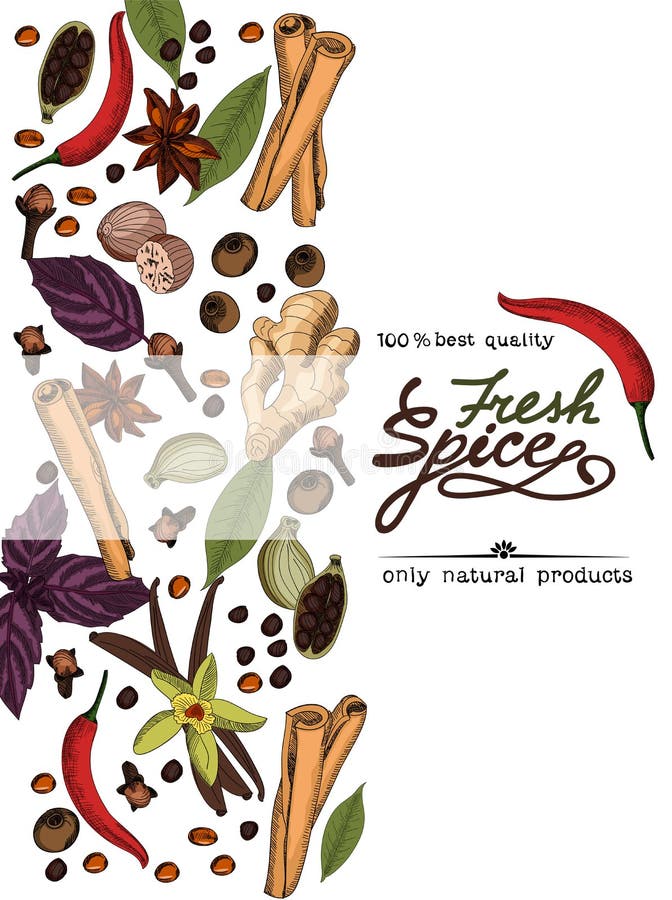 Spice, Condiment And Food Seasoning Poster Stock Vector - Illustration ...