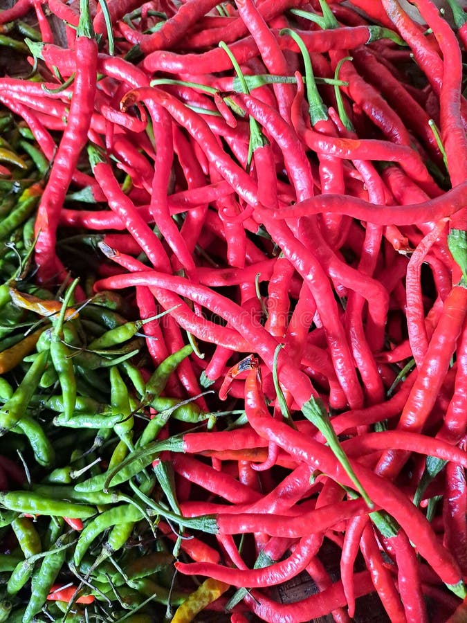 Fresh and spicy red chili stock photo. Image of fresh - 269275092