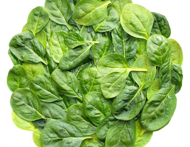 Fresh spinach stock image. Image of food, free, market - 20980145