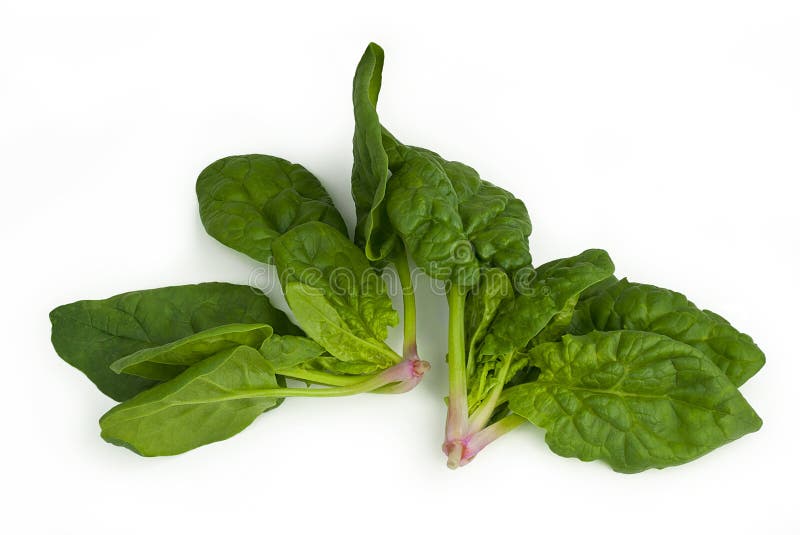 Fresh spinach stock image. Image of healthy, vegetarisch - 27929827