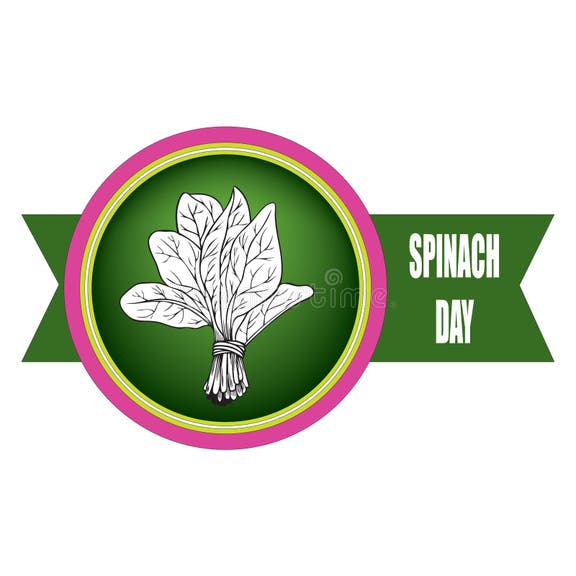 Fresh Spinach Day sticker stock vector. Illustration of cliipart ...