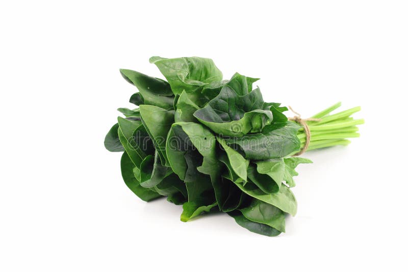 Fresh Spinach, High Protein Stock Photo - Image of fresh, protein: 86427620