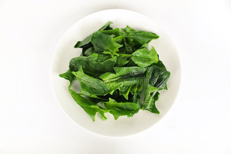 Fresh Spinach, High Protein Stock Photo - Image of nature, amino: 86428282