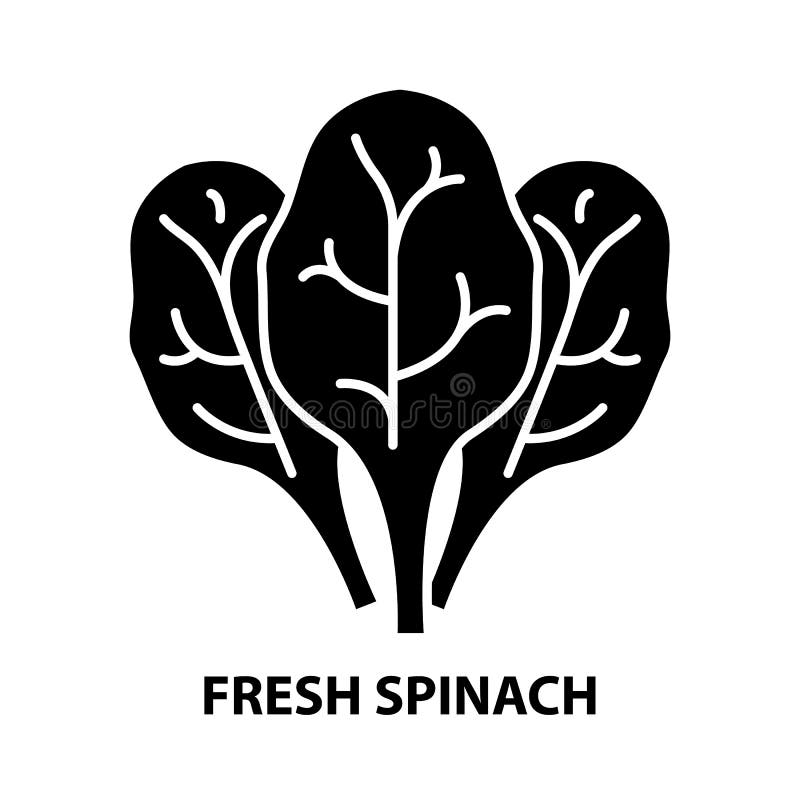 Fresh Spinach Icon, Black Vector Sign with Editable Strokes, Concept ...
