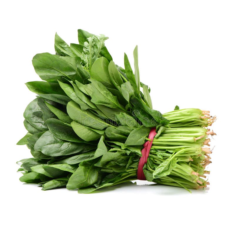 Fresh spinach stock photo. Image of ingredient, harvested - 107118186