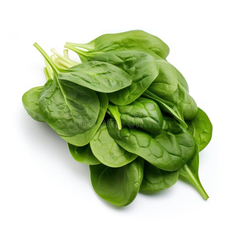 Fresh Spinach Leaves with Rich Green Color. Isolated on Background ...