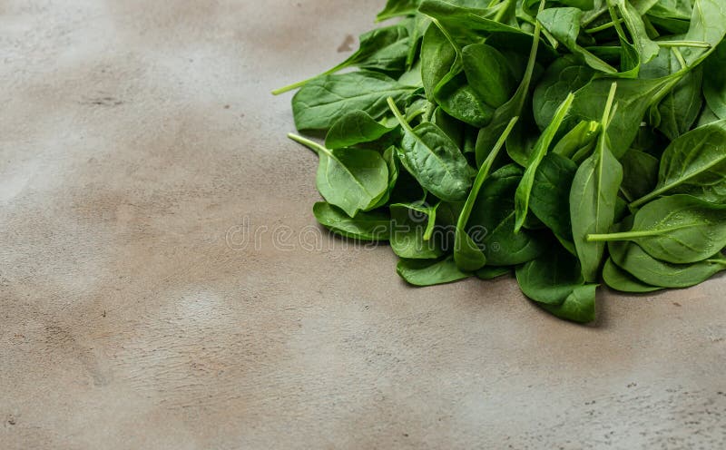 Fresh Spinach Leaves. Vegetable Banner or Heading Design Stock Photo ...