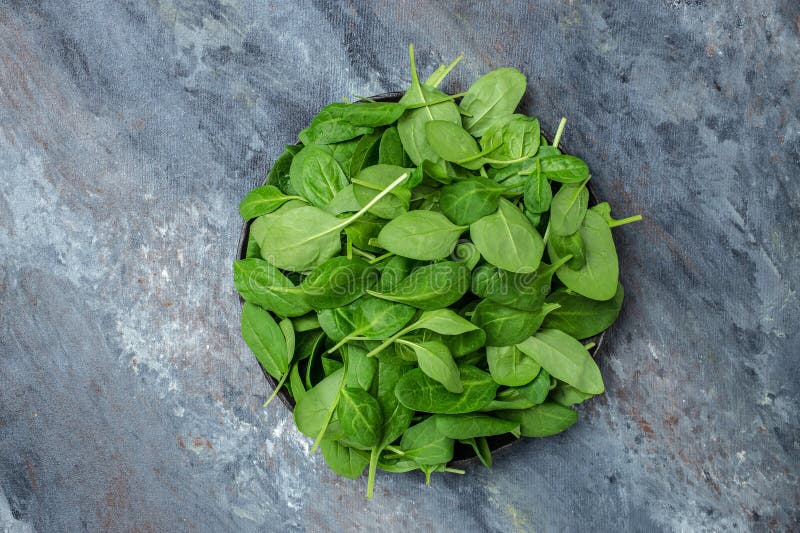 Fresh Spinach Leaves. Vegetable Banner or Heading Design Stock Photo ...