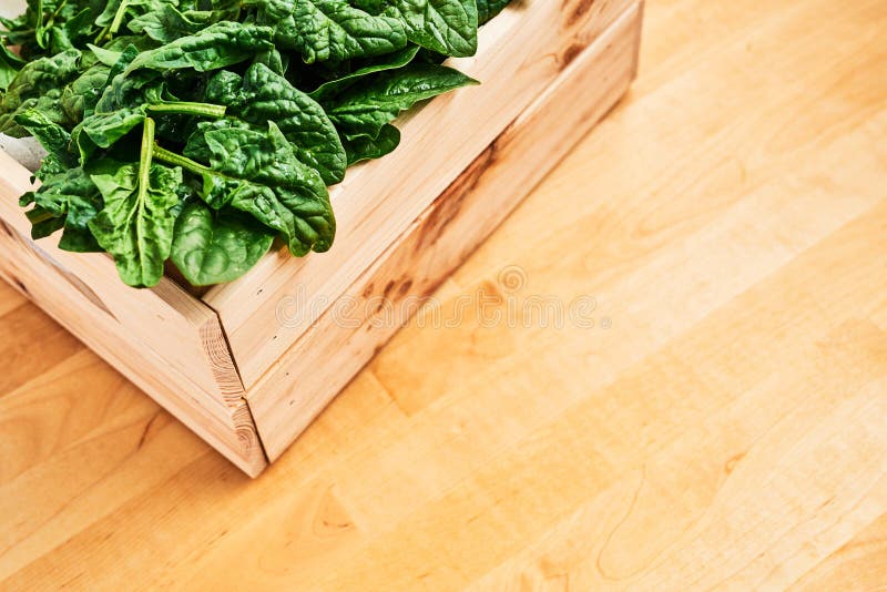 Fresh Spinach Leaves in Wooden Box Stock Photo - Image of dieting, herb ...