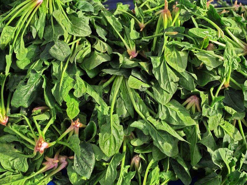 Fresh Spinaches on the Market Stall Stock Image - Image of power ...