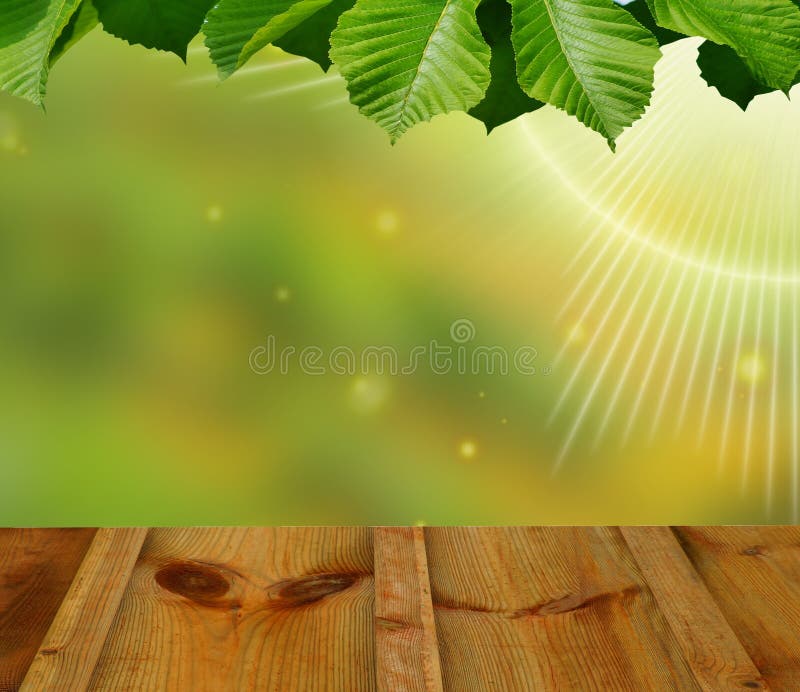 Fresh Spring Background - Background, Texture Stock Photo - Image of ...