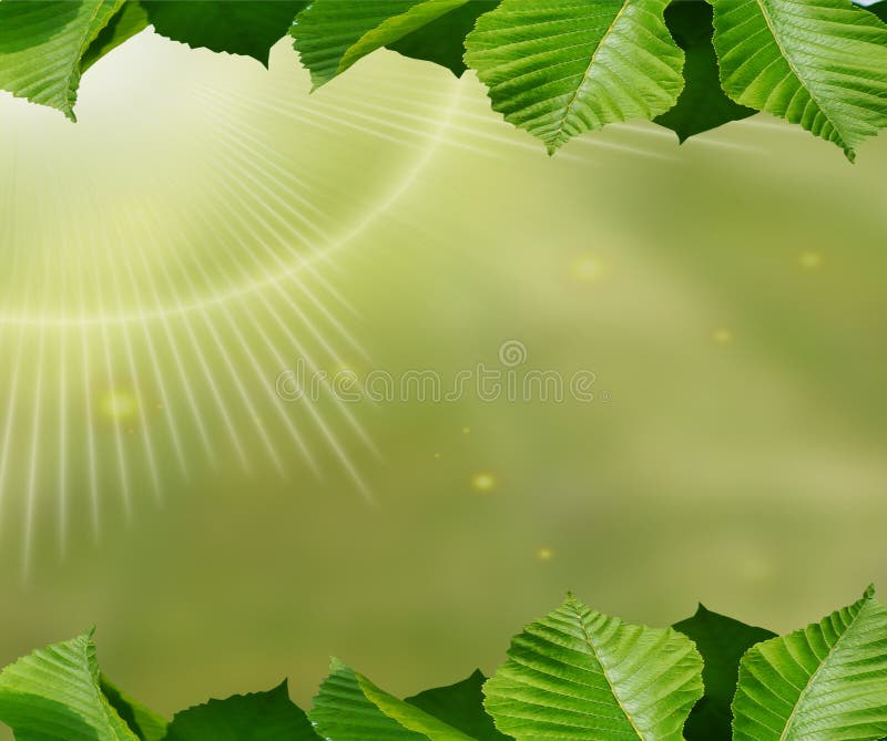 Fresh Spring Background - Background, Texture Stock Photo - Image of ...
