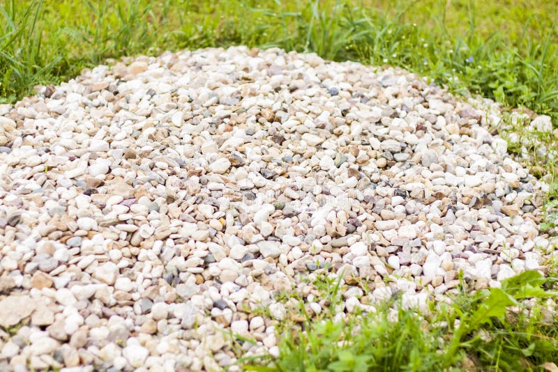 Fresh Spring Background. Scattered Decorative Pebbles on the Green ...