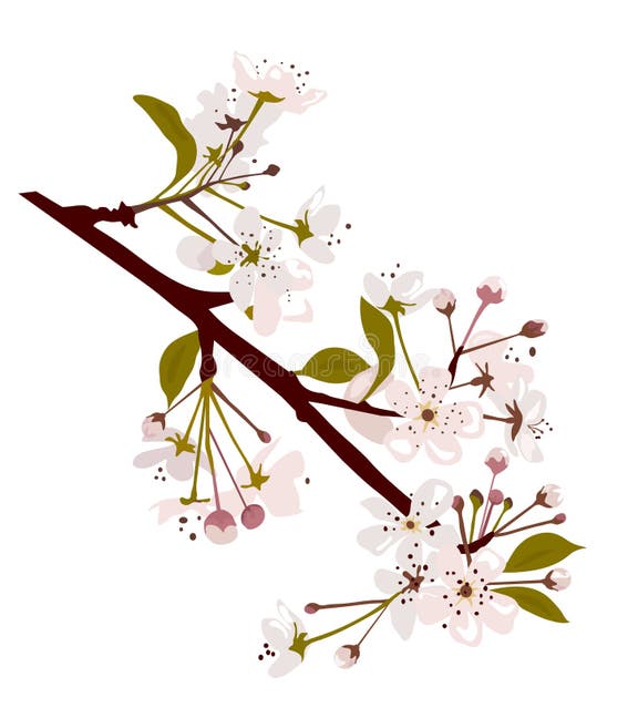 Fresh Spring Blossom stock vector. Illustration of bloom - 4392869