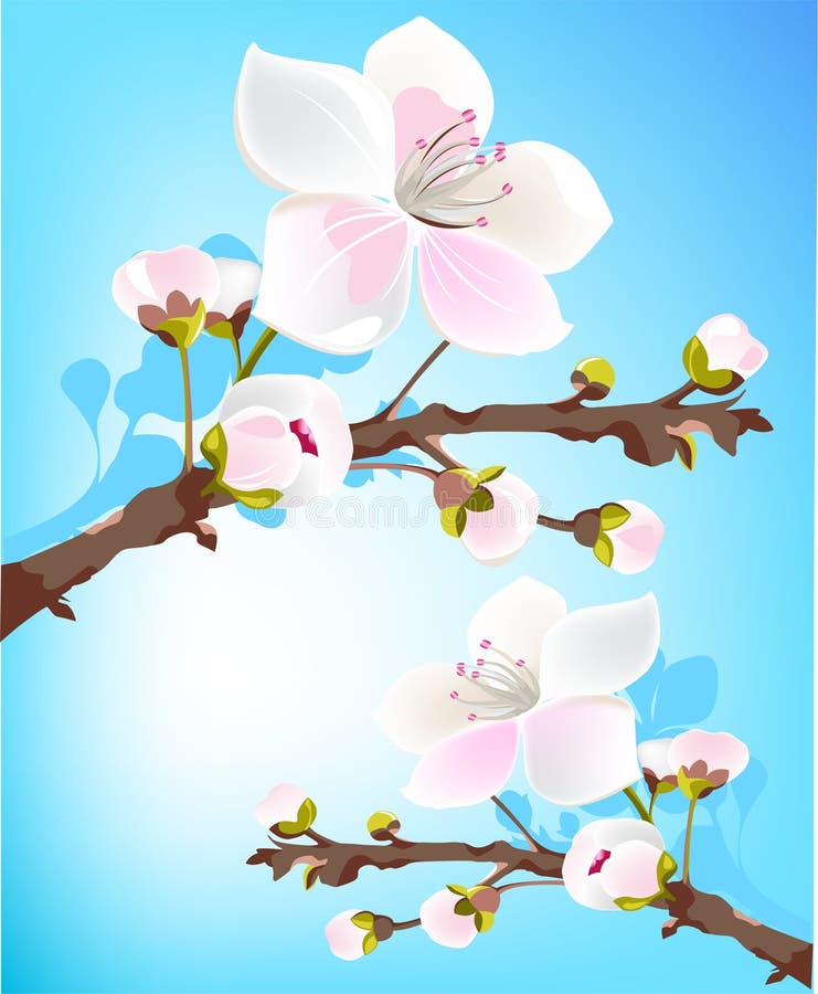 Fresh spring blossom stock illustration. Illustration of garden - 4603122