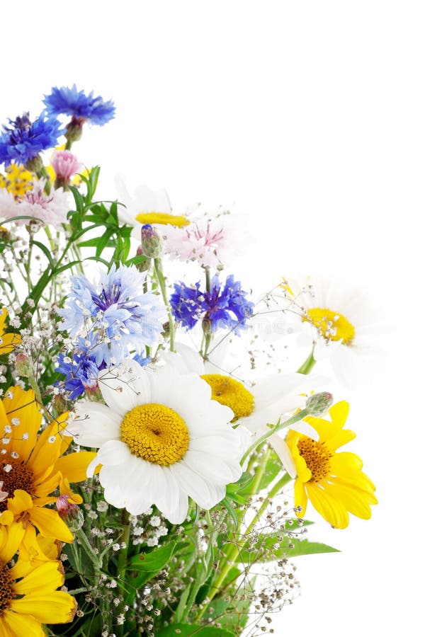 Fresh spring bouquet stock photo. Image of flowers, love - 13854428