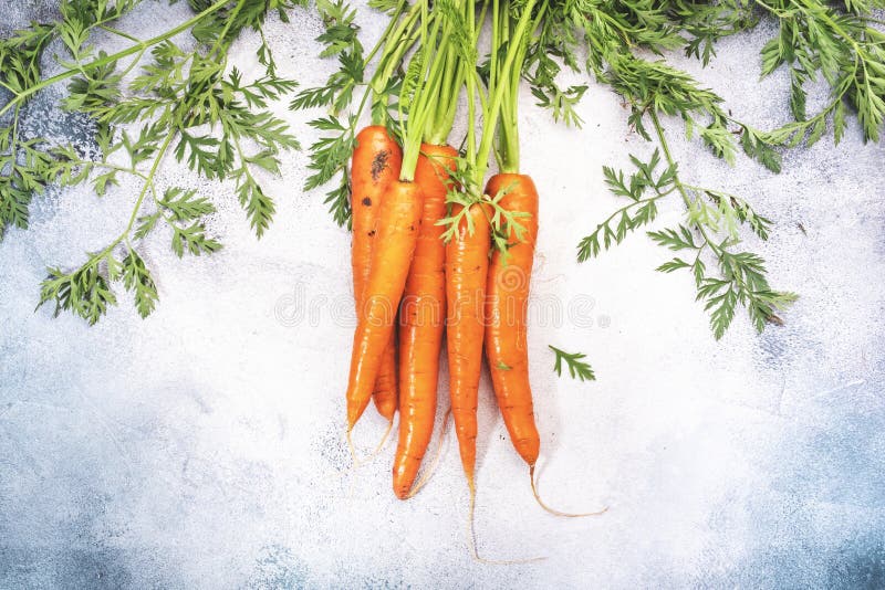 Fresh Spring Carrots Bunch on Grey Table Background. Top View with Copy ...