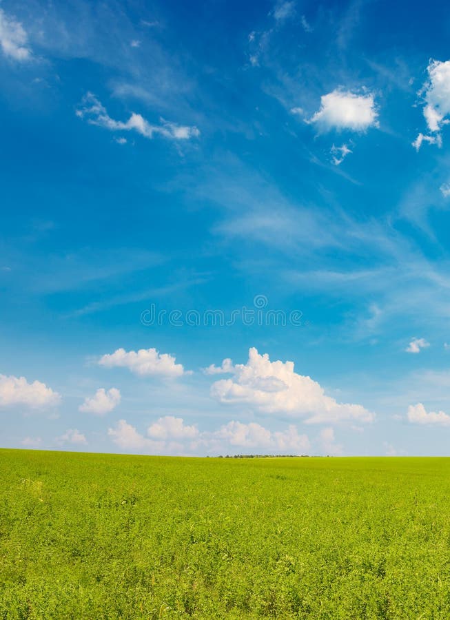 562,347 Blue Field Sky Spring Stock Photos - Free & Royalty-Free Stock ...