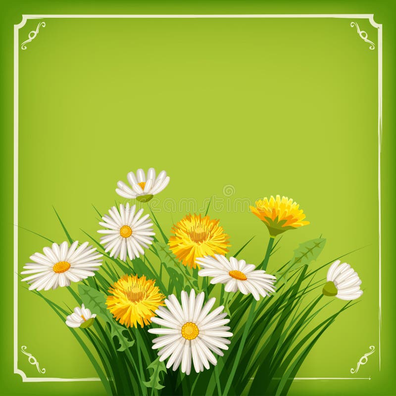 Fresh Spring, Daisies and Dandelions, Grass Stock Vector - Illustration ...