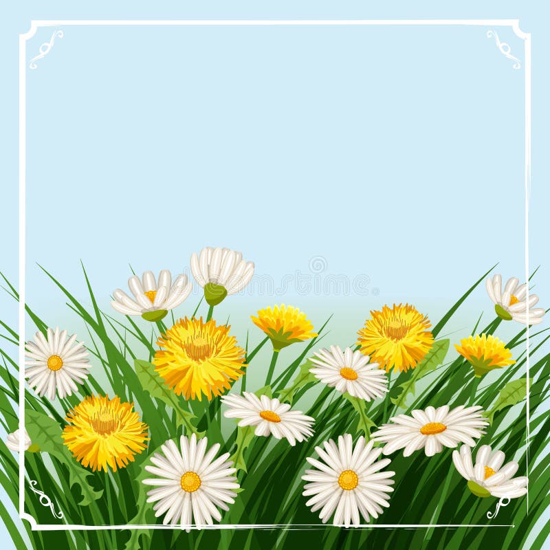 Fresh Spring, Daisies and Farm, Grass Stock Vector - Illustration of ...