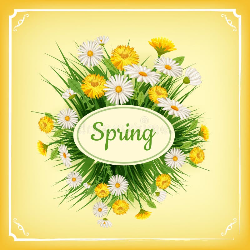Fresh Spring, Daisies and Dandelions, Grass Stock Vector - Illustration ...