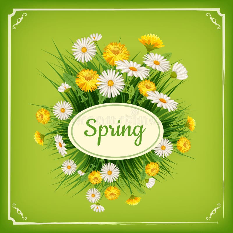 Fresh Spring, Daisies and Farm, Grass Stock Vector - Illustration of ...