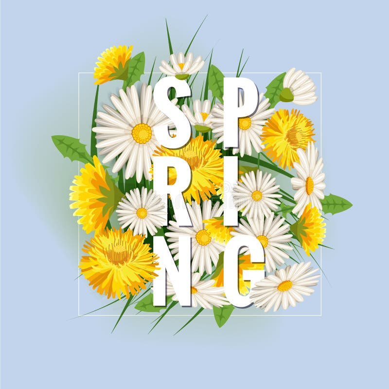 Fresh Spring, Daisies and Dandelions, Grass Stock Vector - Illustration ...