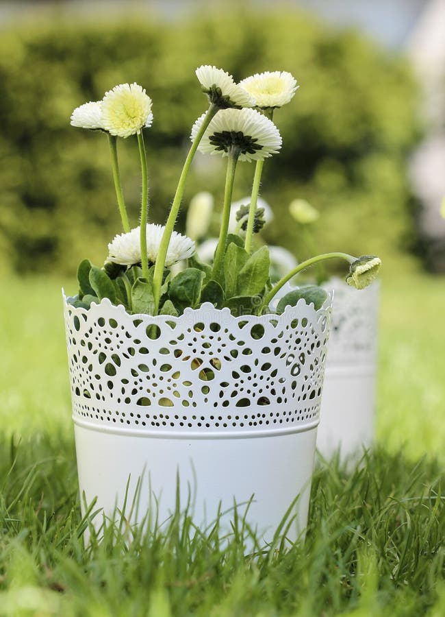 Fresh Spring Decorations for the First Communion, Stock Photo - Image ...