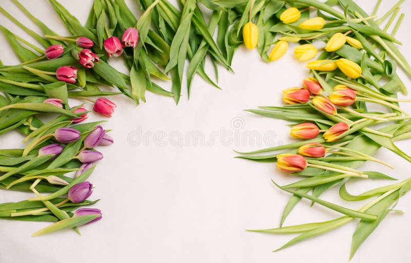 Fresh Spring, Easter Flowers Stock Image - Image of frame, easter ...