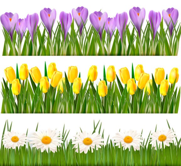 Fresh Spring and Flower Borders Stock Vector - Illustration of border ...