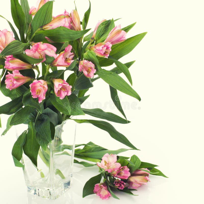 Fresh Spring Flowers As a Holiday Postcard Design Stock Image - Image ...