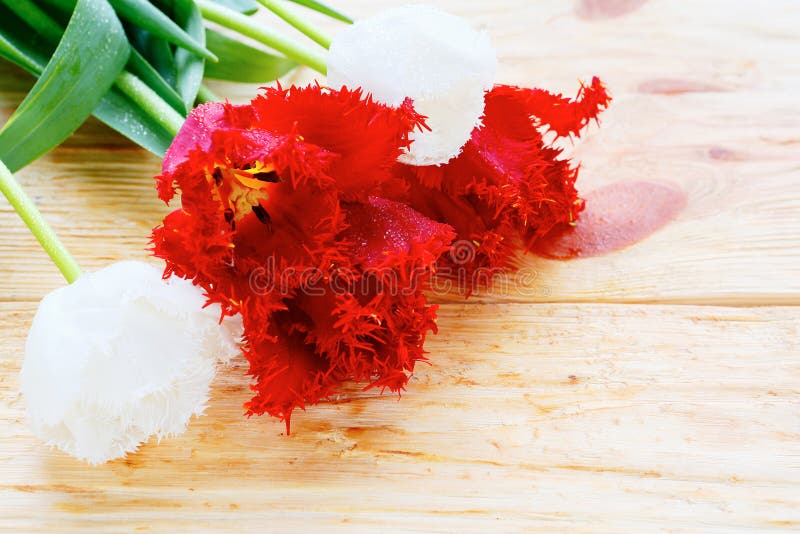 Fresh Spring Flowers on Board Stock Photo - Image of space, rustic ...