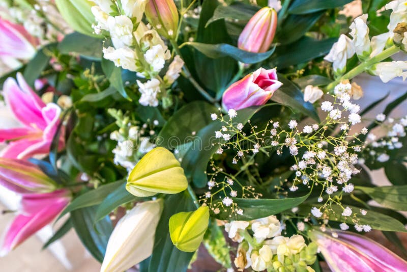 Fresh spring flowers stock image. Image of multicolored - 261990973